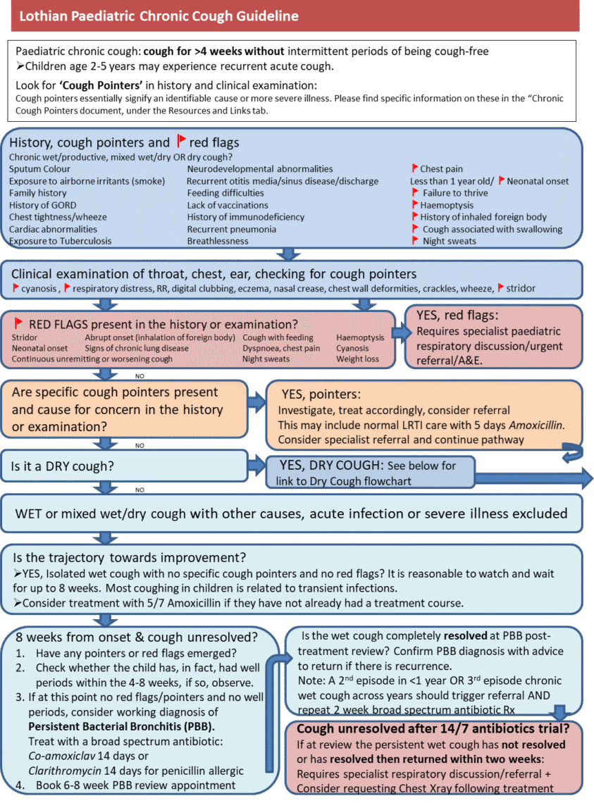Chronic Cough (Paediatric) – RefHelp