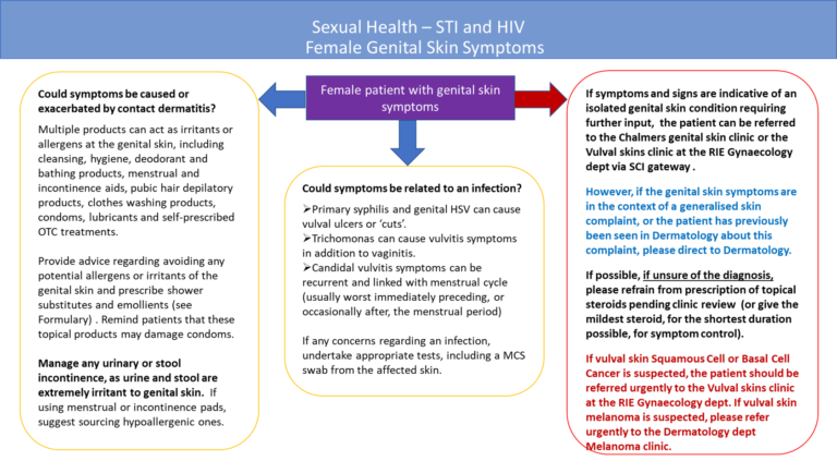 Female Genital Skin Symptoms – RefHelp