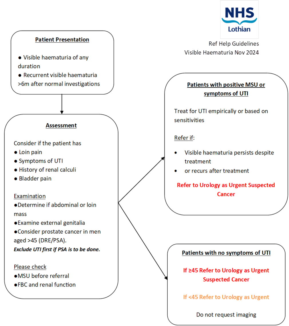 Haematuria VISIBLE – RefHelp