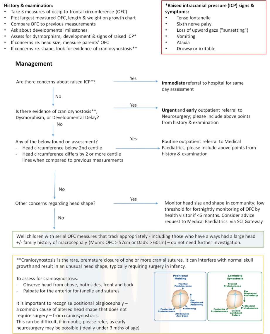 Head size & shape abnormalities – RefHelp