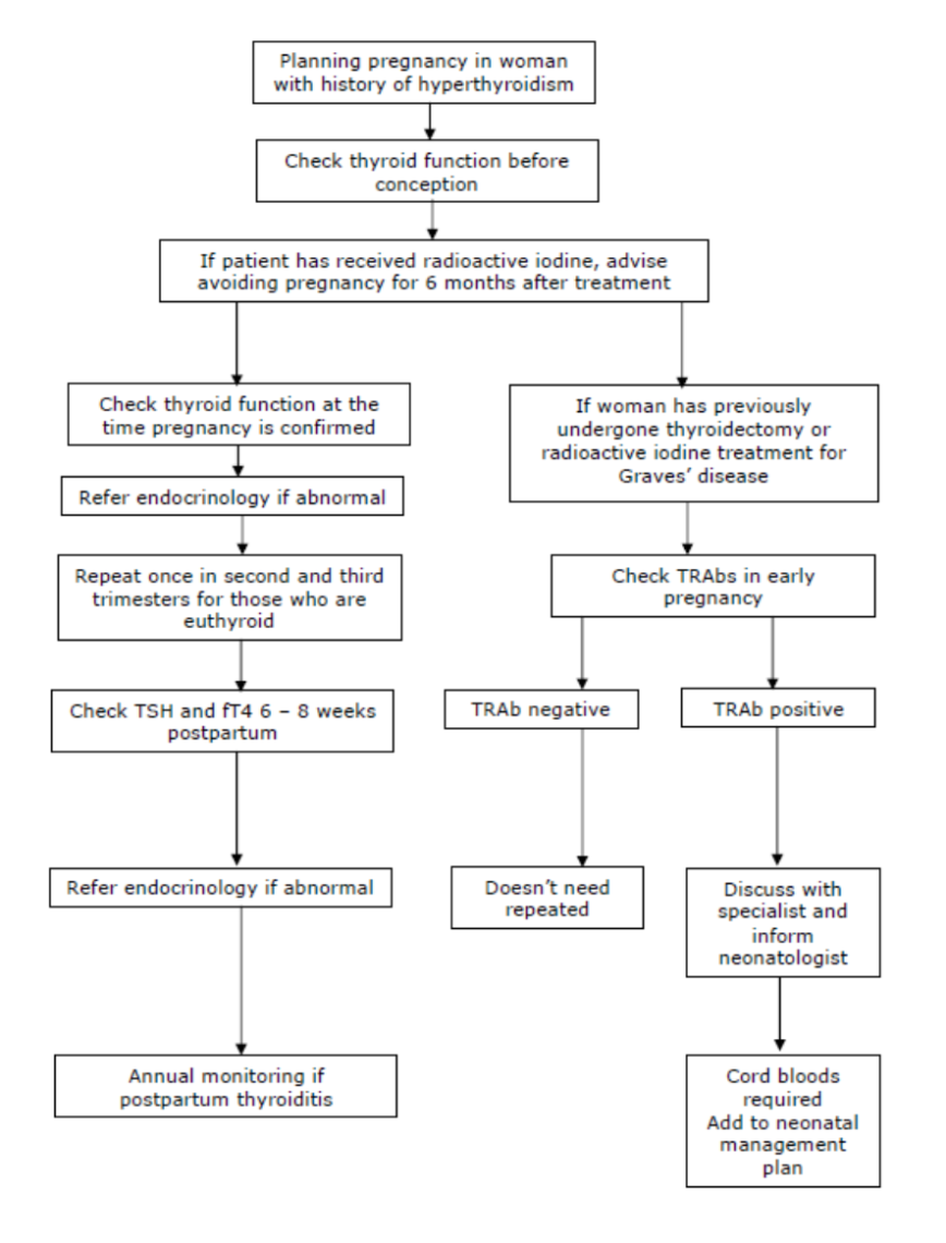Hyperthyroidism in Pregnancy – RefHelp
