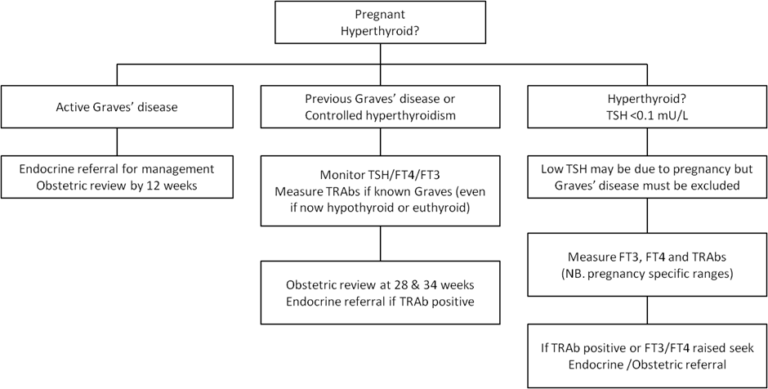 Hyperthyroidism in Pregnancy – RefHelp