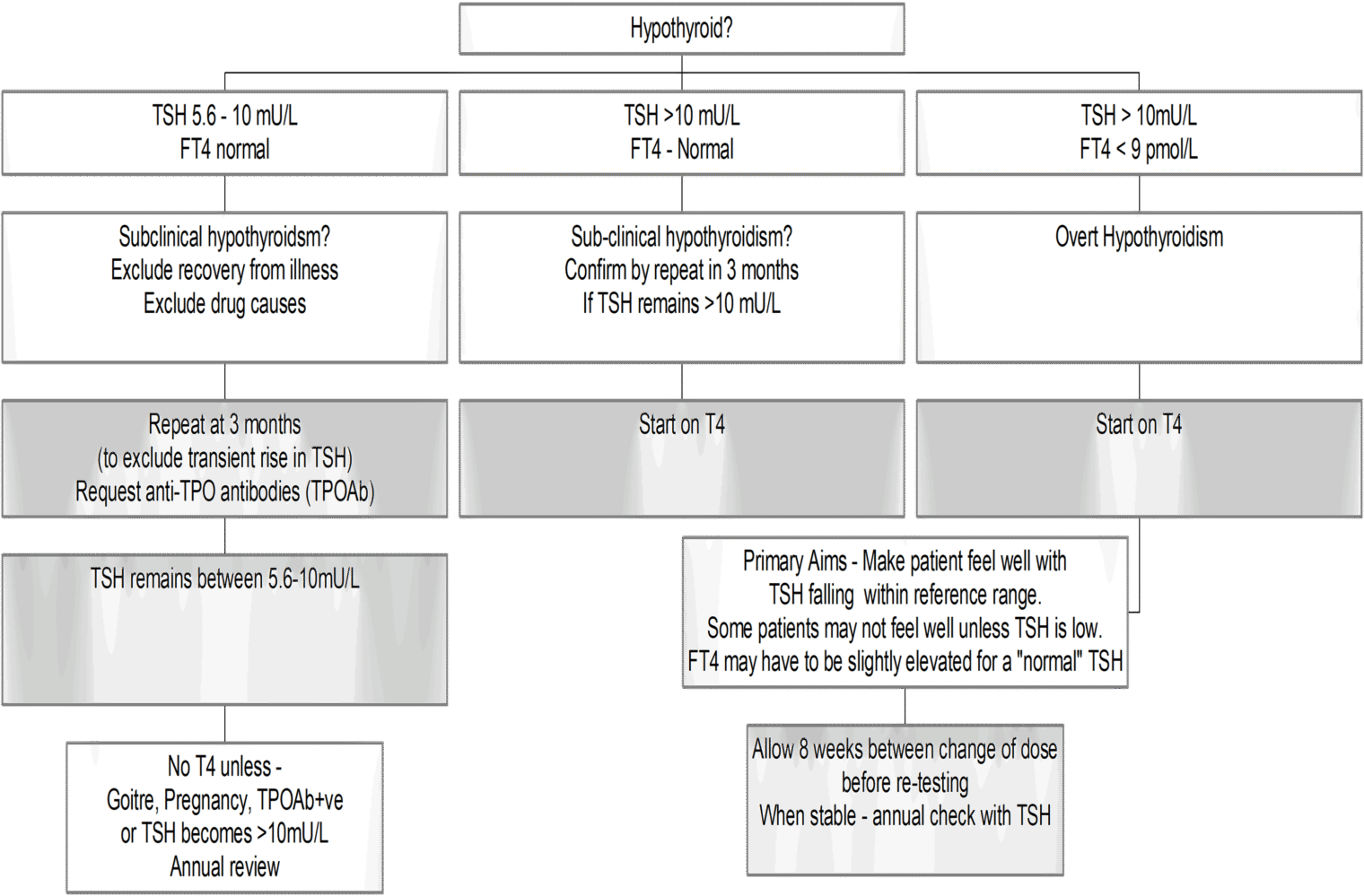 Hypothyroidism and Thyroid Function Tests – RefHelp