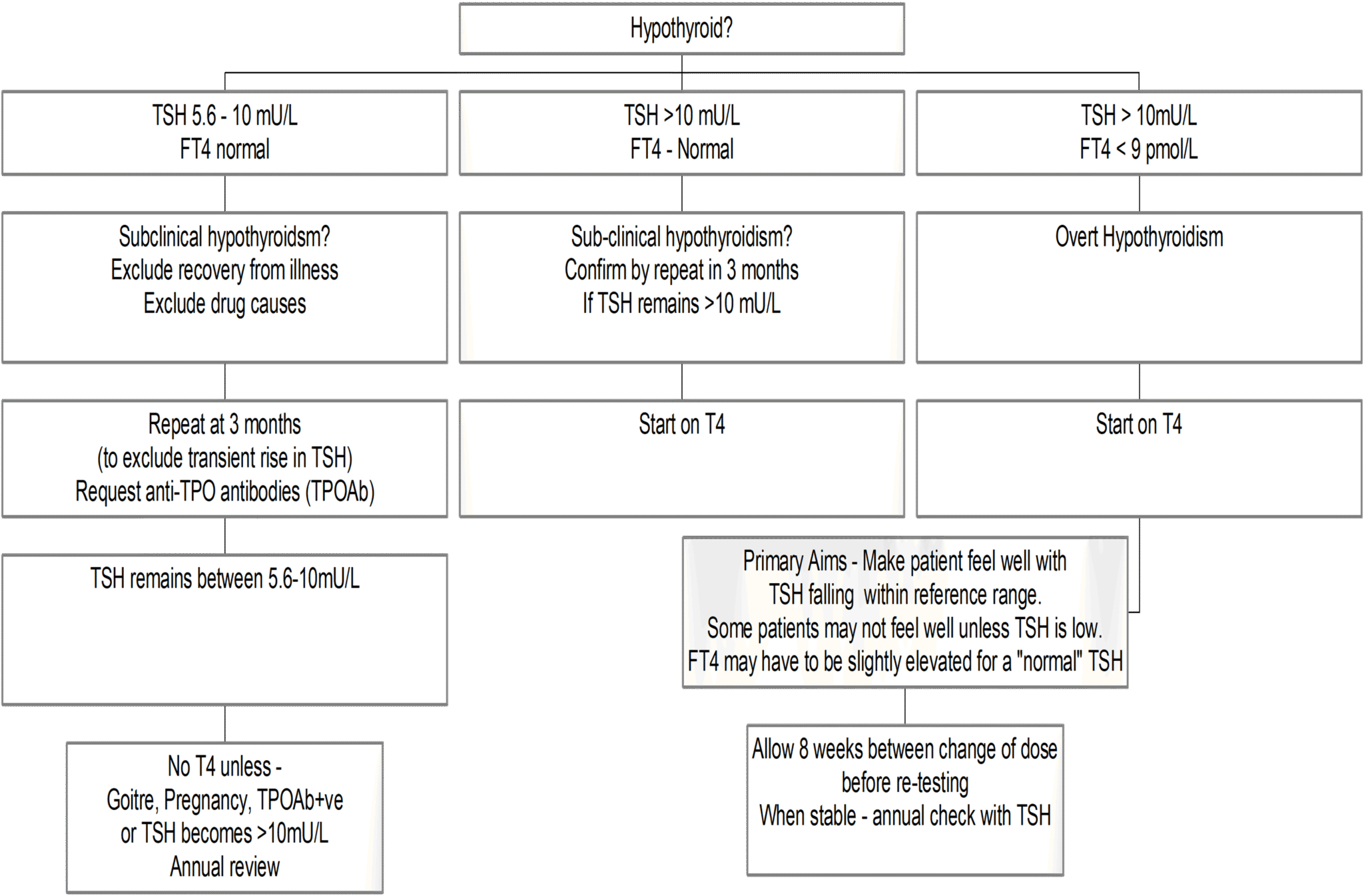 Hypothyroidism and Thyroid Function Tests – RefHelp