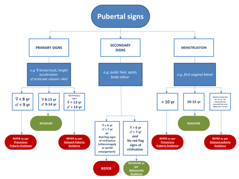 Puberty – RefHelp