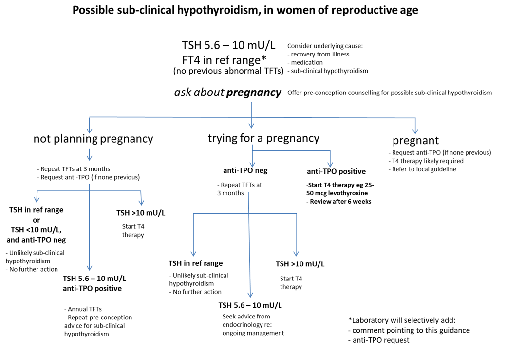 Subclinical Hypothyroidism and Pregnancy – RefHelp