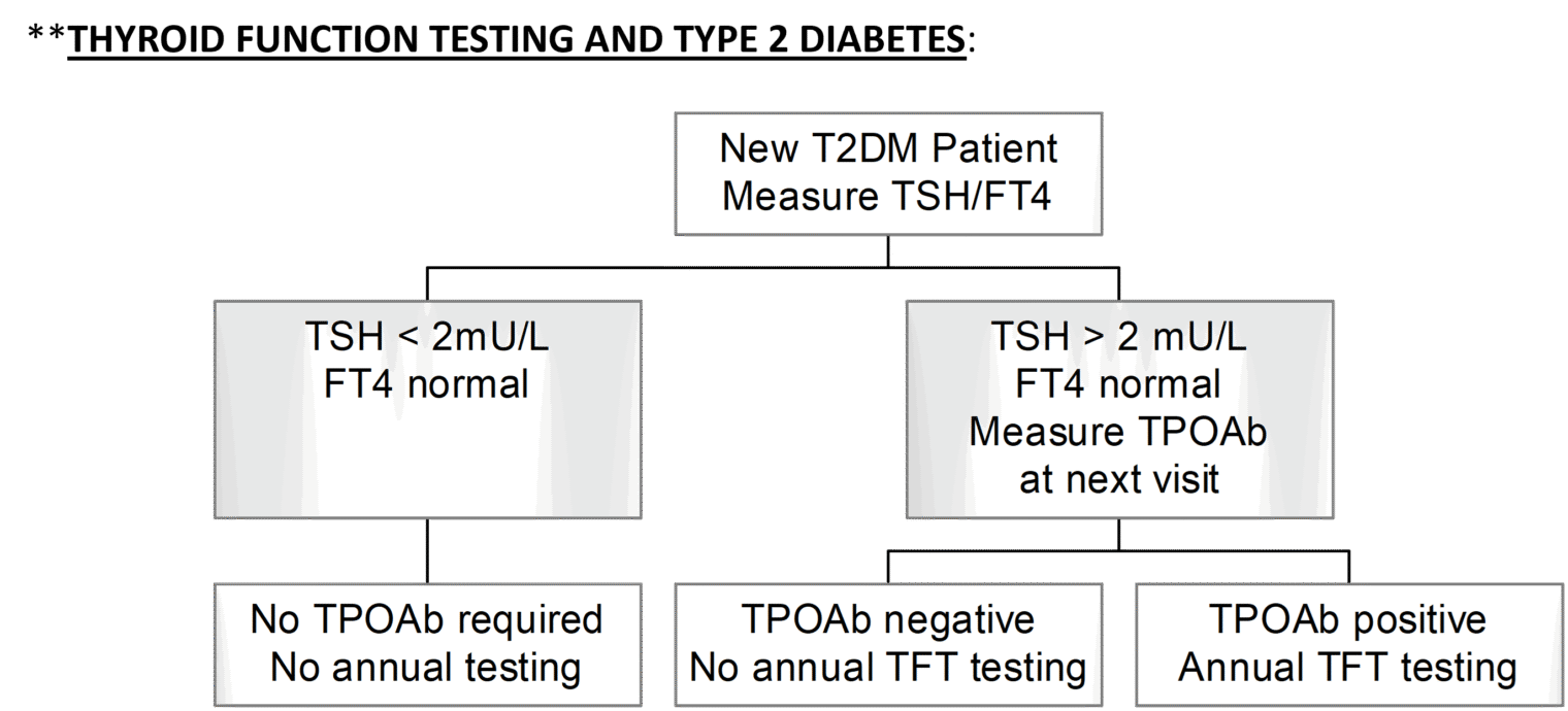 Hypothyroidism and Thyroid Function Tests – RefHelp