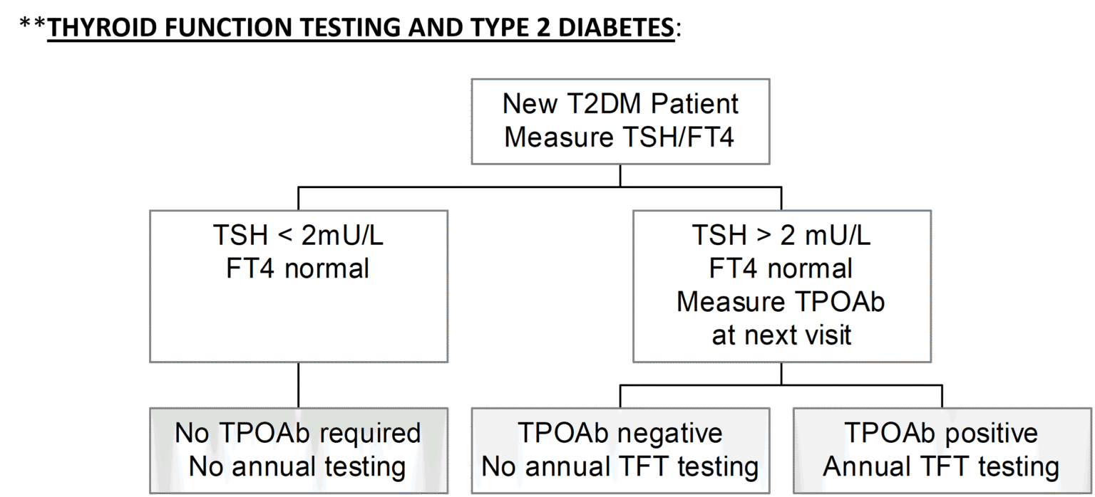 Hypothyroidism and Thyroid Function Tests – RefHelp