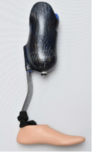 Prosthetics Service – RefHelp